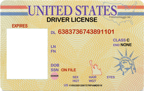 To start select the driver license template and click on icon to add ...
