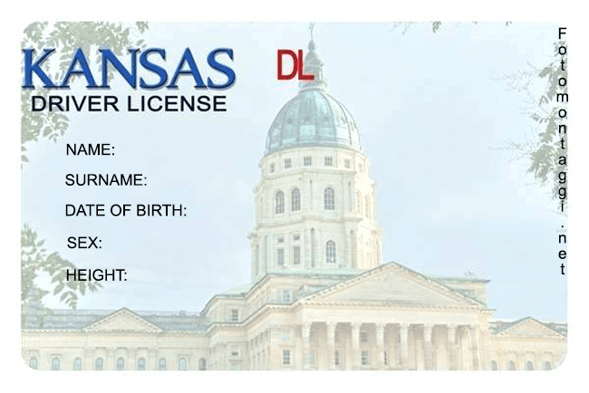 To start select the driver license template and click on icon to add ...